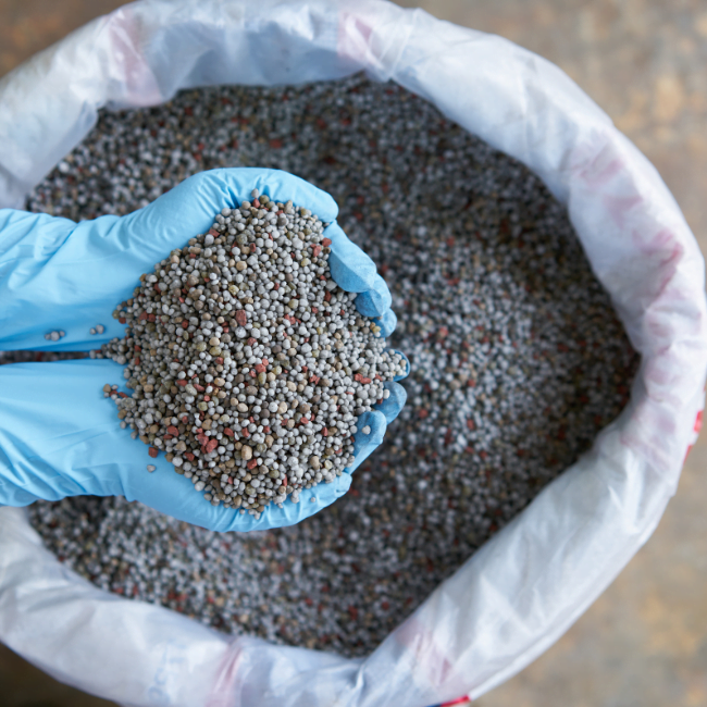 Phân bón và những sai lầm thường gặp khi sử dụng phân bón